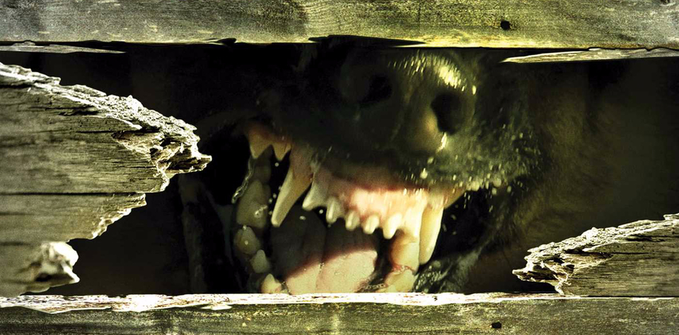 Constant Reader Chronicle: Cujo – Batrock.net